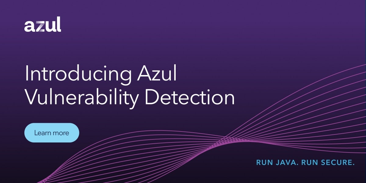 Simple Java Security Azul Vulnerability Detection
