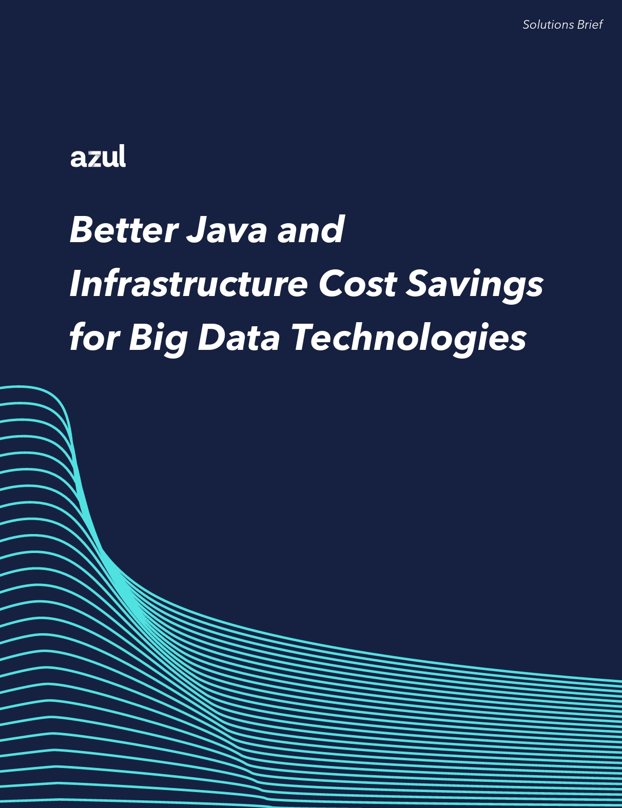 Better Java & Infrastructure Cost Savings for Big Data Technologies ...