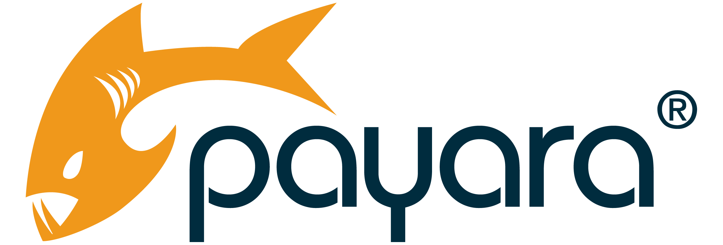 Payara Acquisition - Azul | Better Java Performance, Superior Java Support